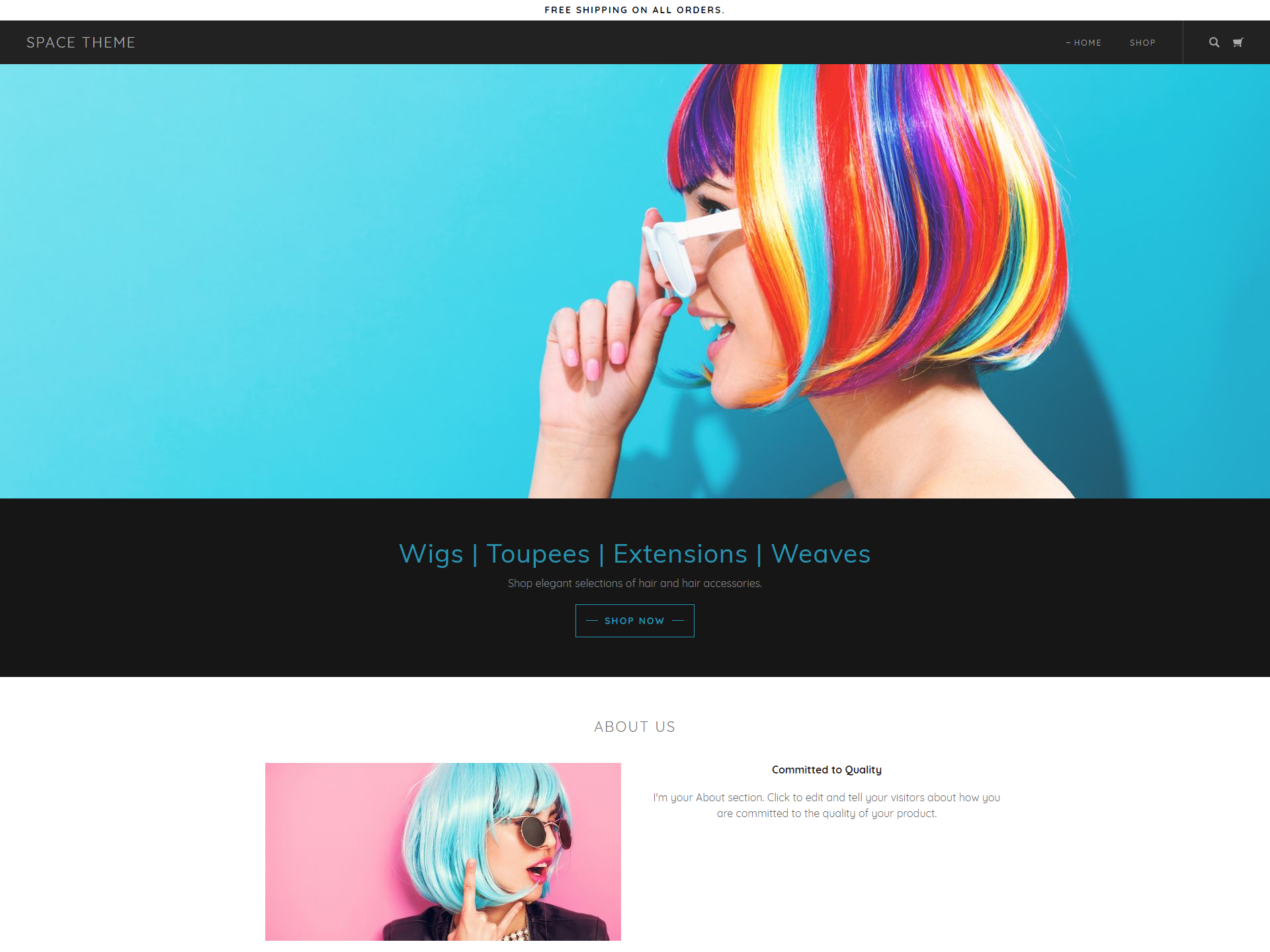 Center – WDS Theme Demo
